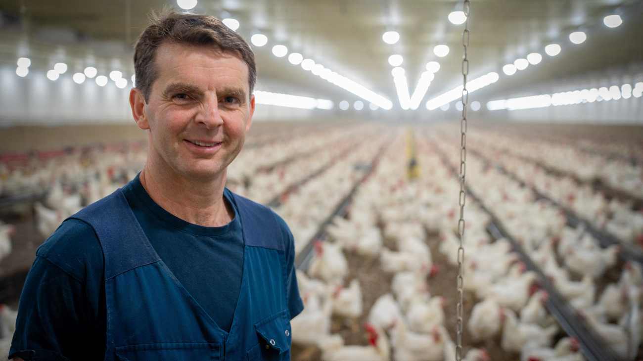 Manipulación de huevos de reproductoras - Vencomatic Group