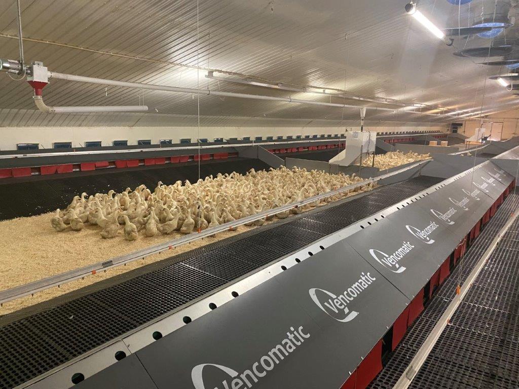 The Vencomatic Duck Nest is proving its worth