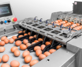 About Vencomatic Group