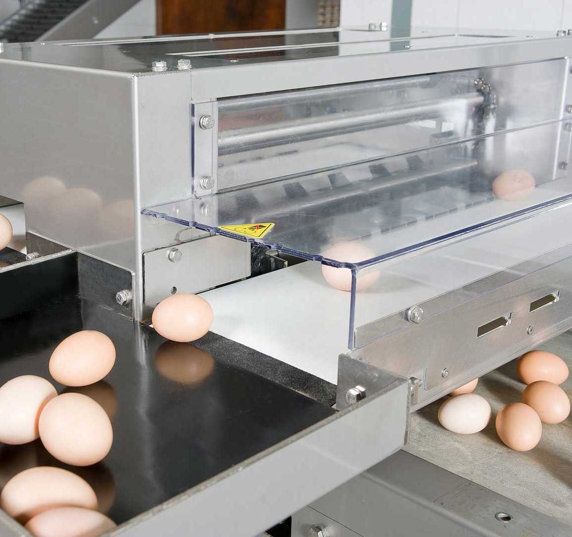 Ovograder - Vencomatic Group