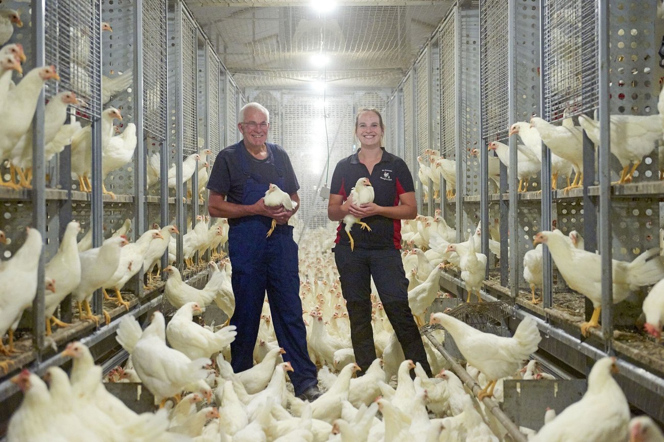 Bolegg Starter - Vencomatic Group