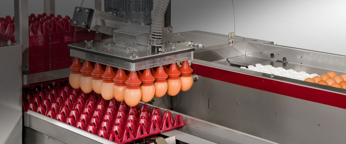 Homepage - Vencomatic Group