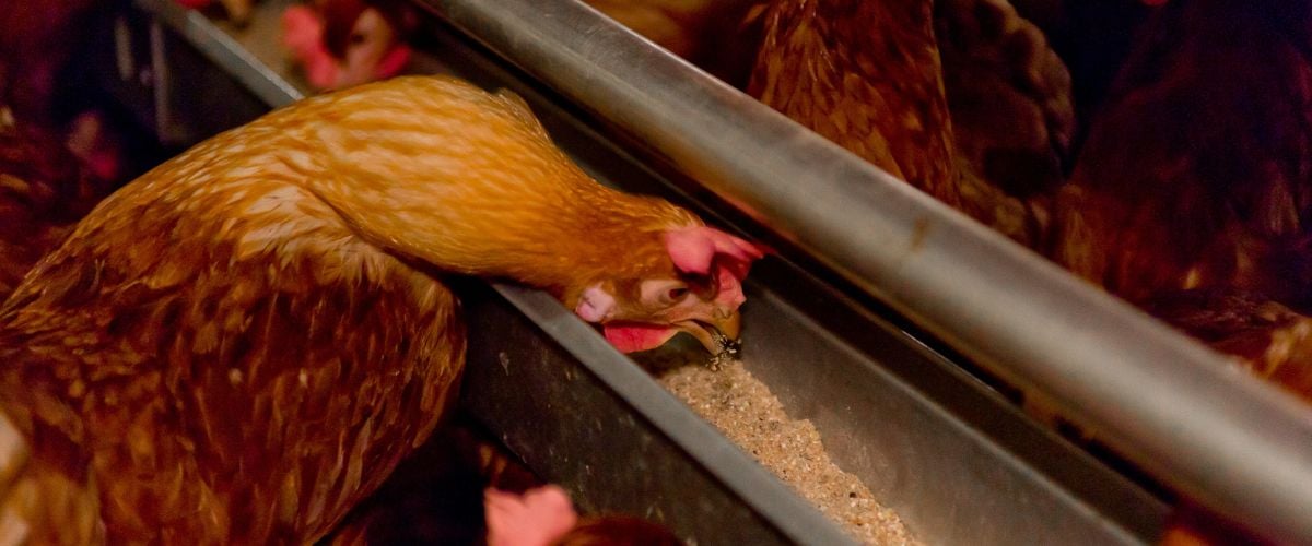 Homepage - Vencomatic Group