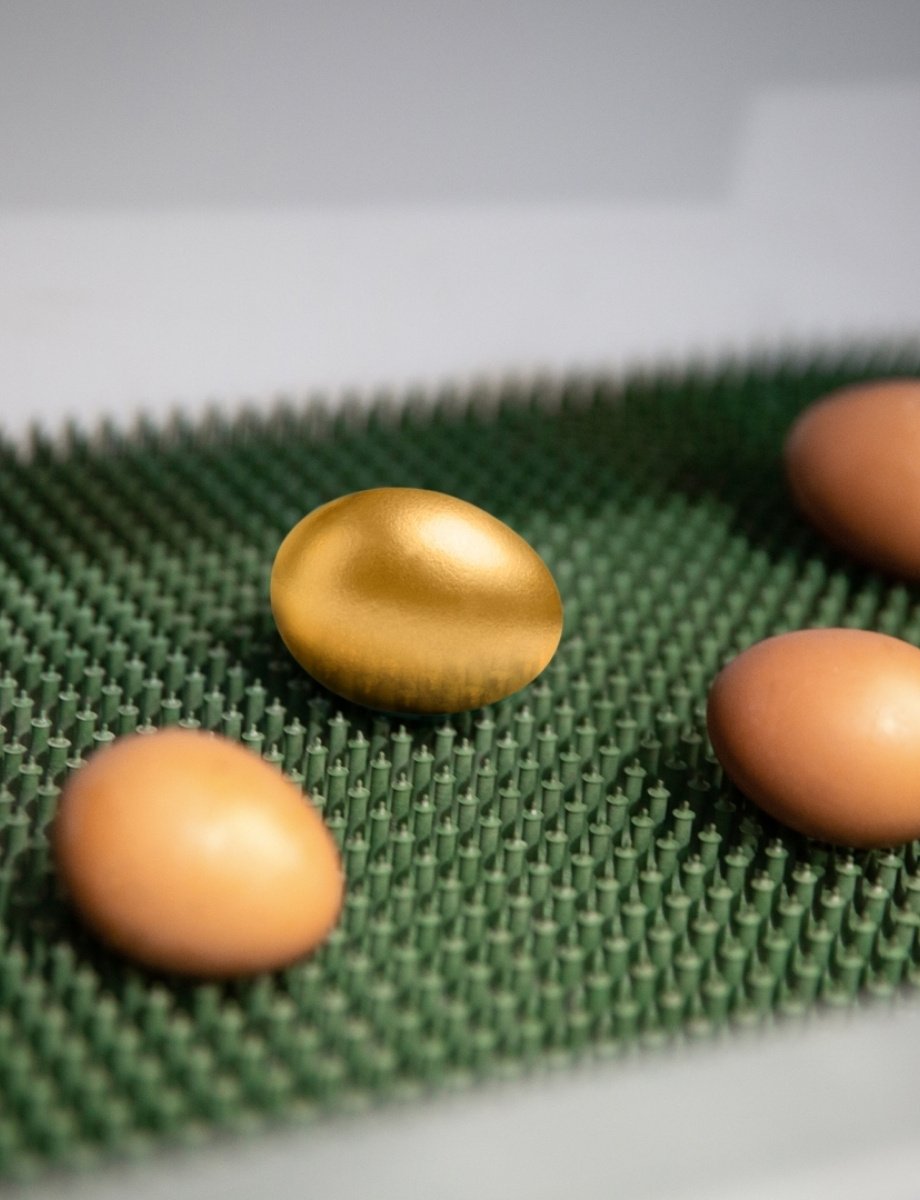 Egg handling layer breeders - Vencomatic Group
