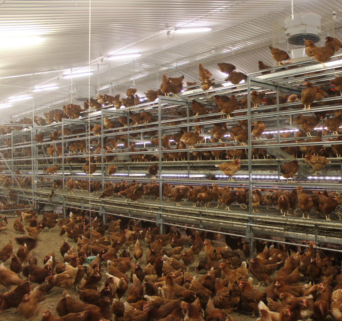 Bolegg Gallery - Vencomatic Group