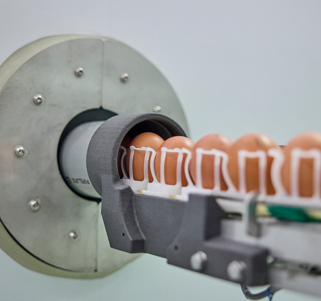 In-ovo sexing - Vencomatic Group