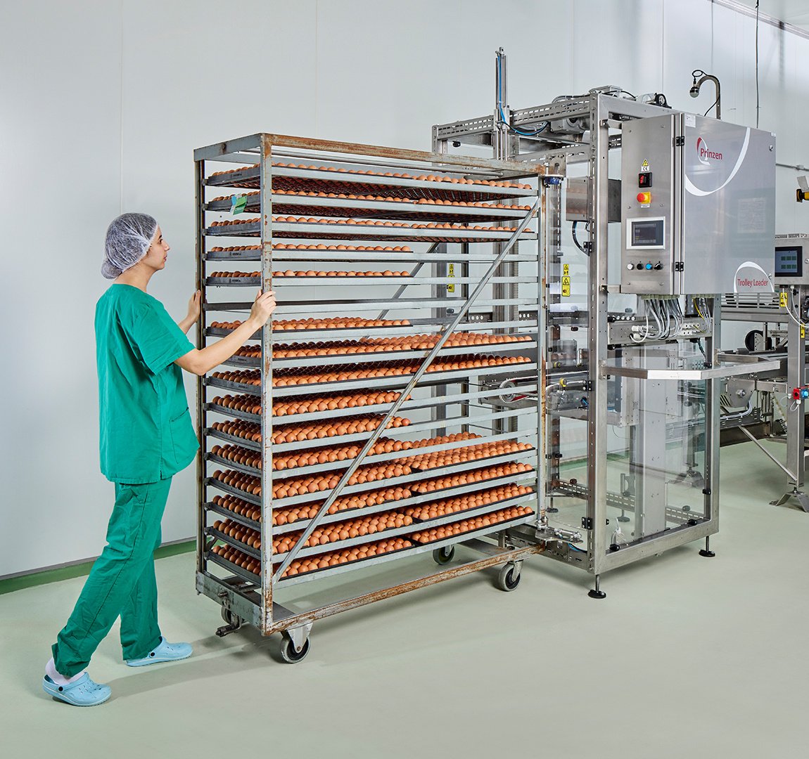 Genus Focus - Vencomatic Group