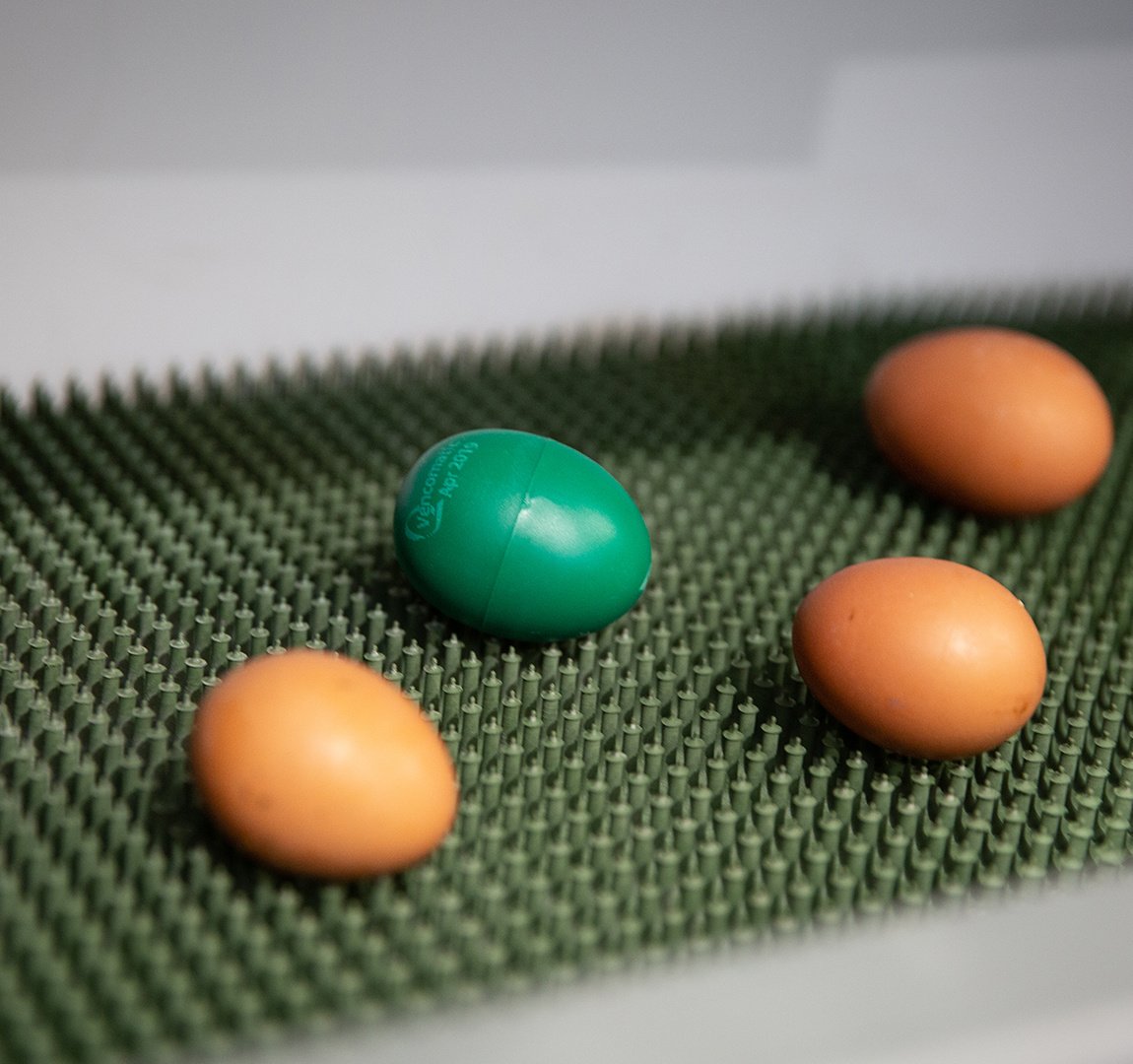 Gregg Smart Eggs - Vencomatic Group