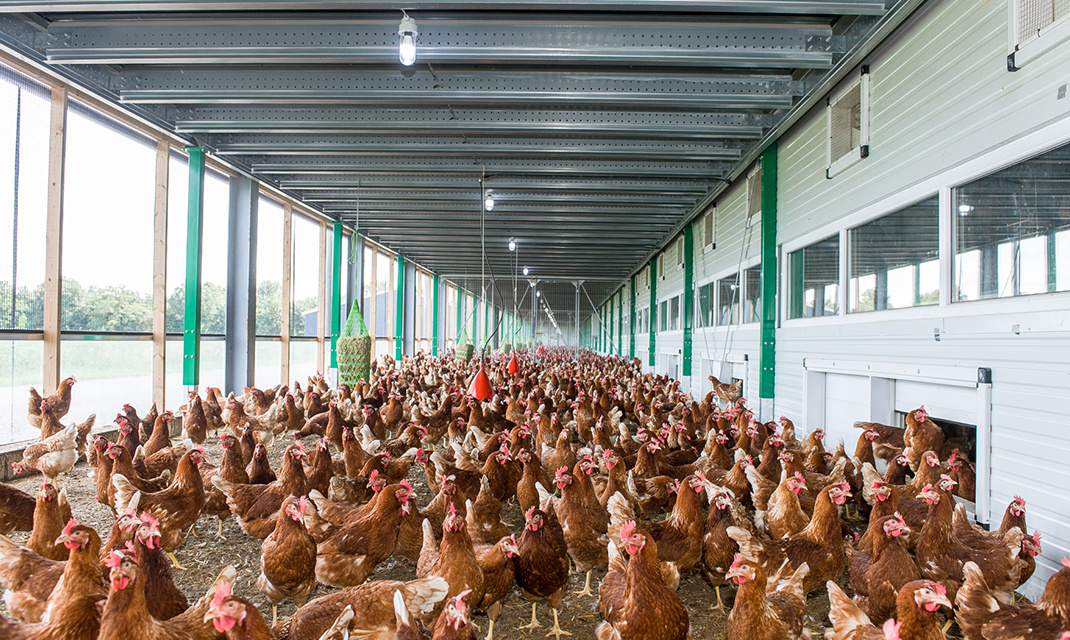 Intermediate floor - Vencomatic Group