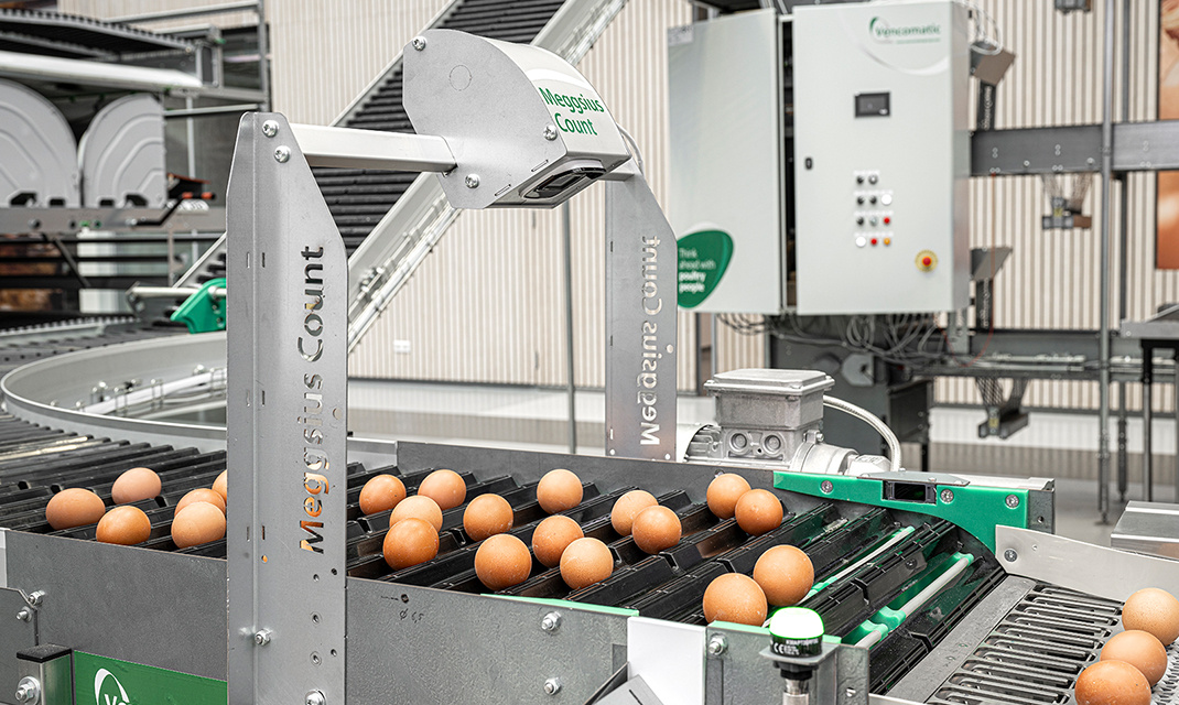 Egg handling & collection - Precision farming