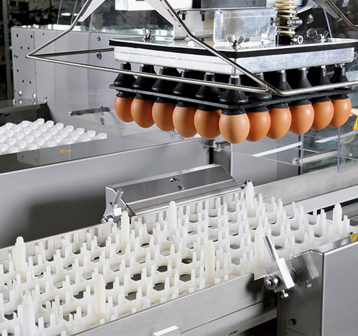 Ovoset Pro - Vencomatic Group