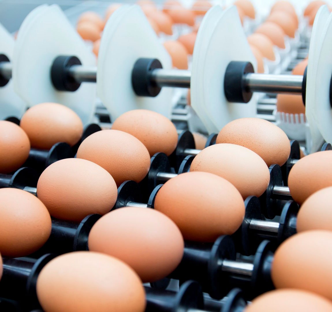 Prinzen - Vencomatic Group