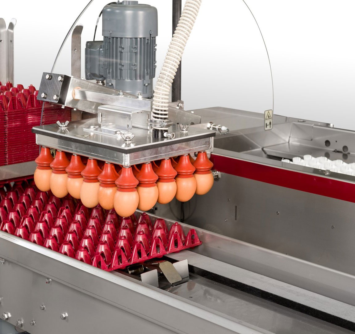 Prinzen 50-70-100 - Vencomatic Group