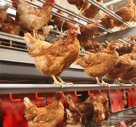 Homepage - Vencomatic Group