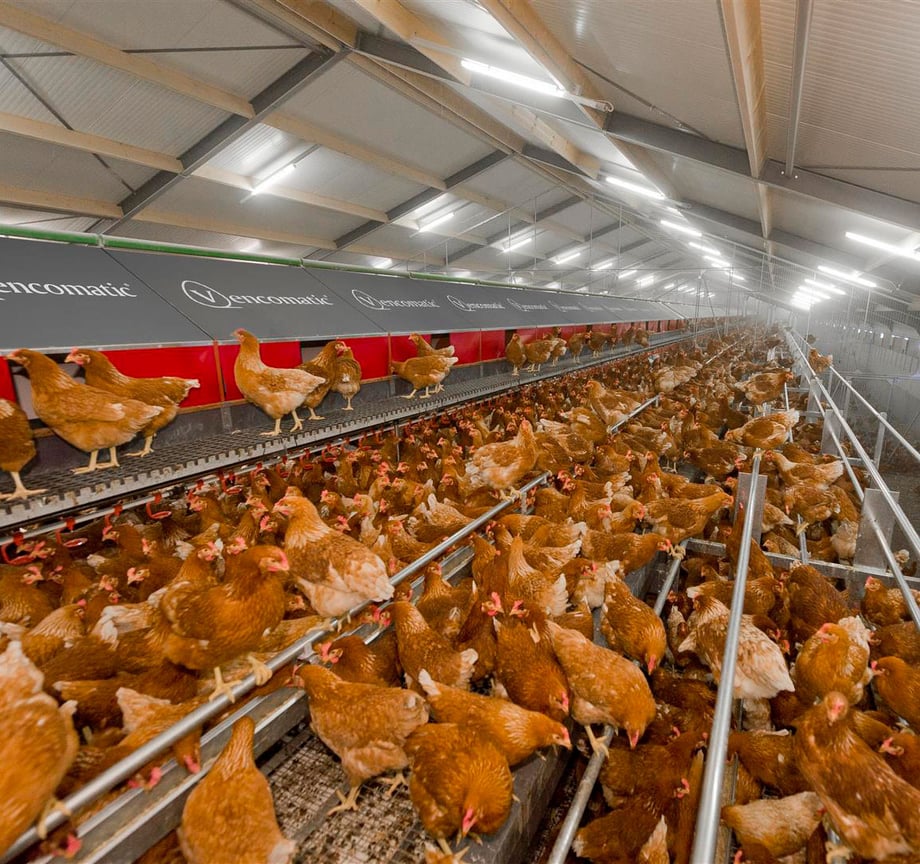 Over ons - Vencomatic Group