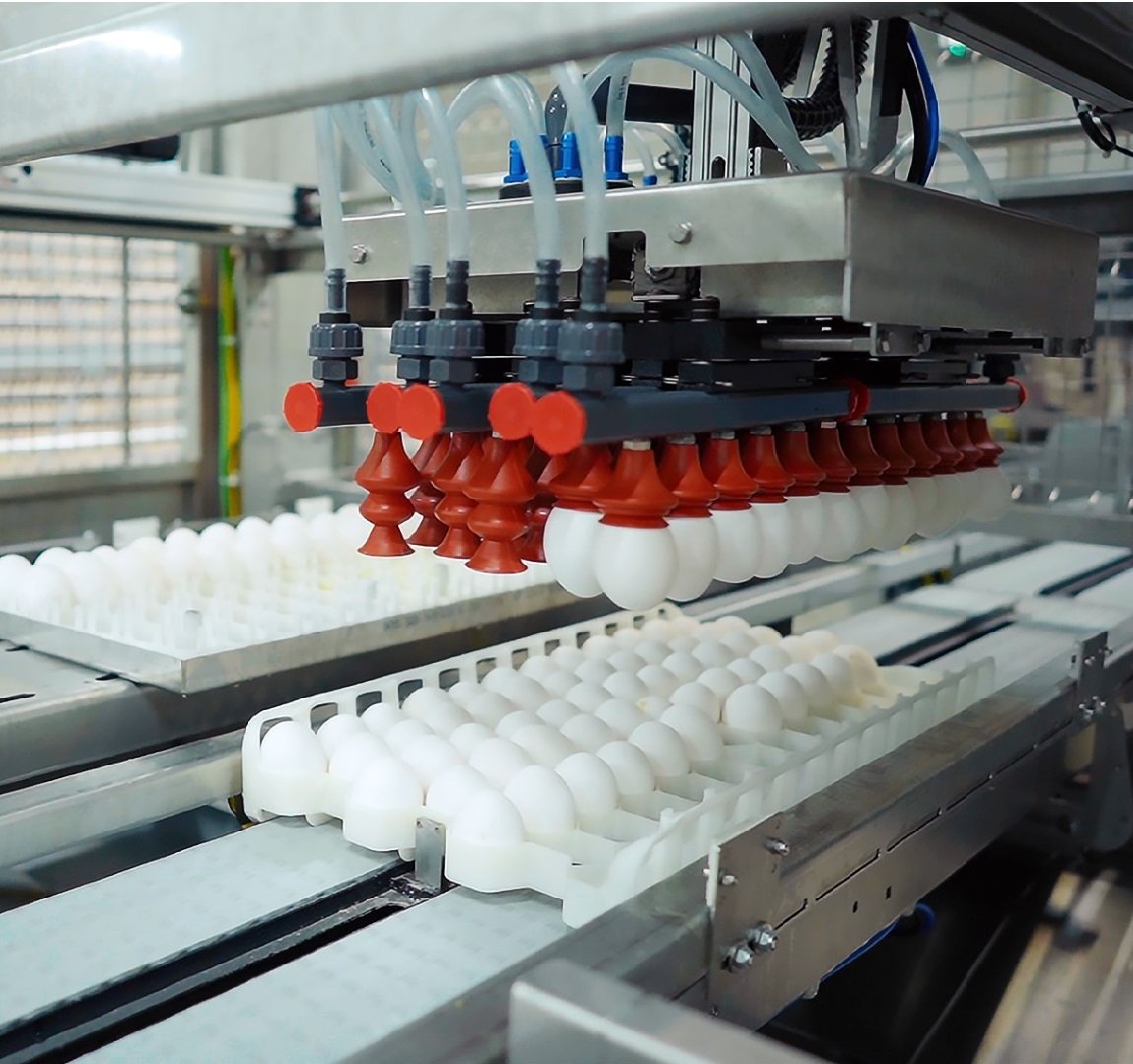 Tray to tray transfer - Vencomatic Group