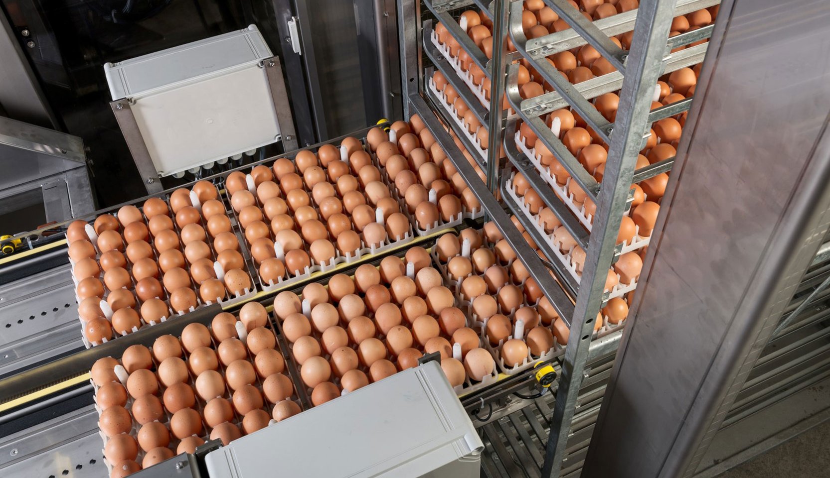 Trolley Loader - Vencomatic Group