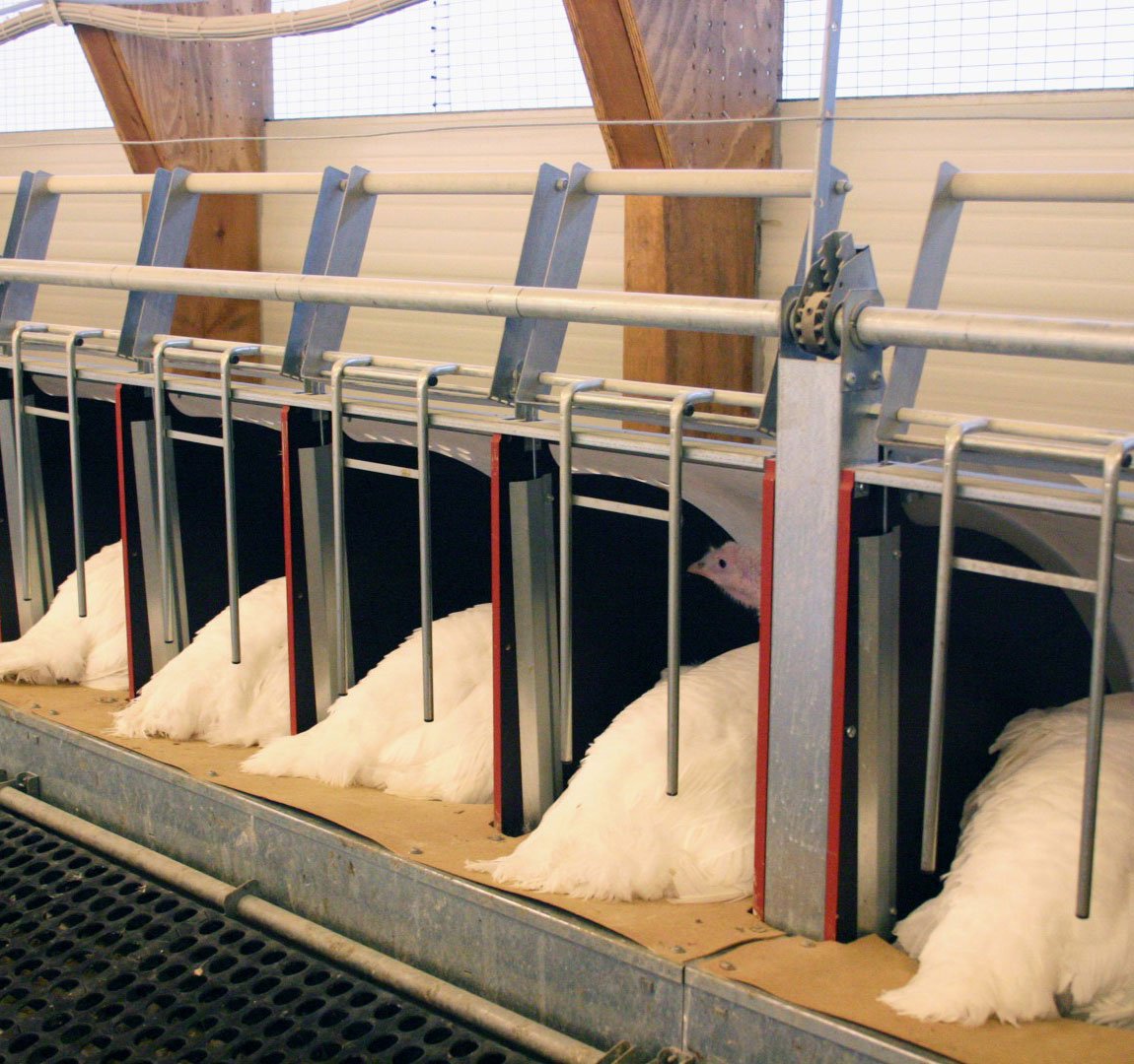 Turkey Nest - Vencomatic Group