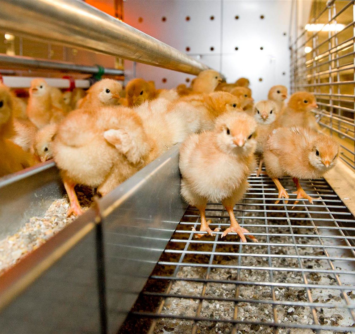 Unistart - Vencomatic Group