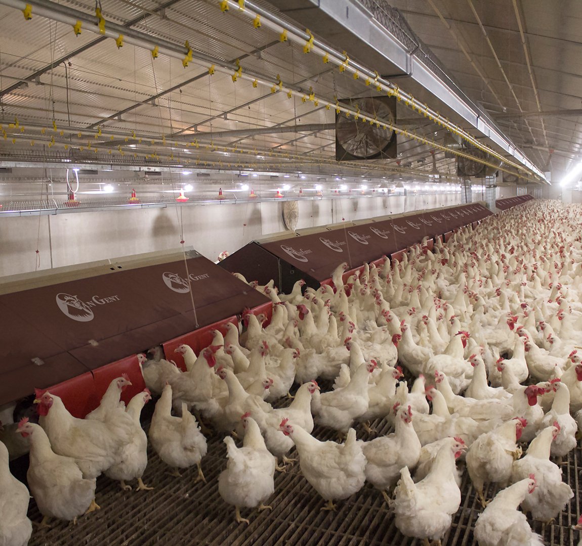 Van Gent Nest - Vencomatic Group