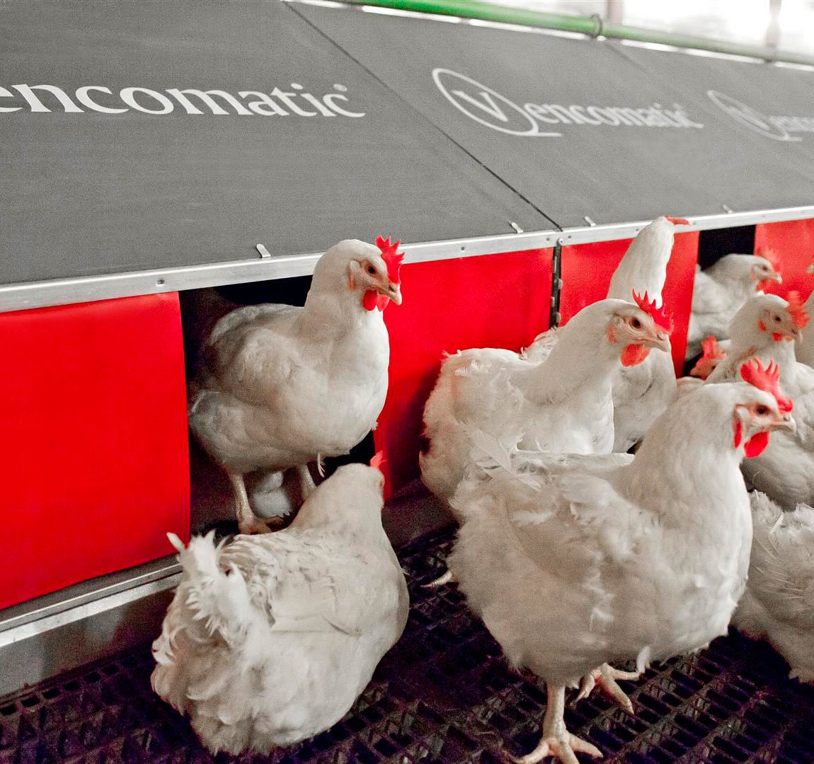 Vencomatic Nest - Vencomatic Group