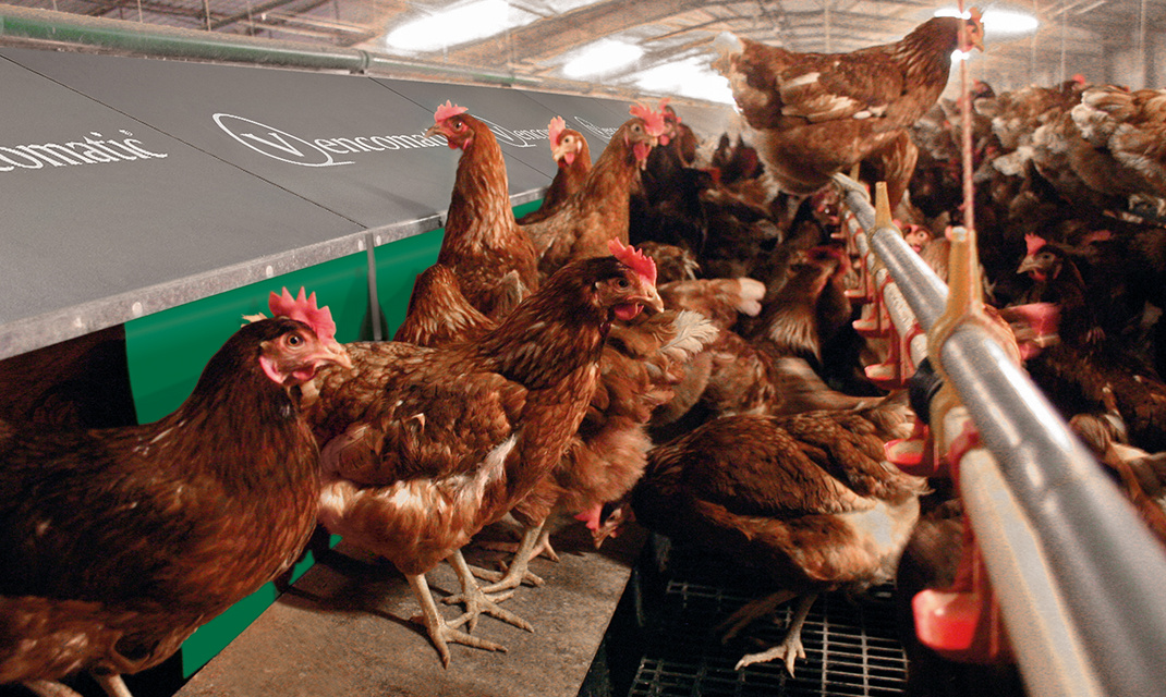 Housing - Poultry production