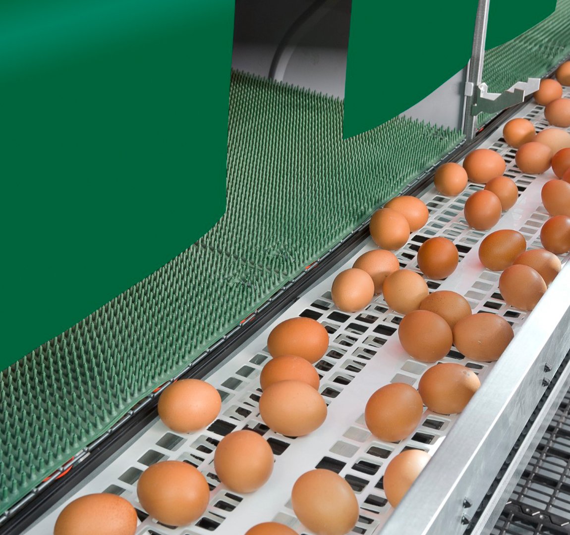 Vencomatic Nest - Vencomatic Group