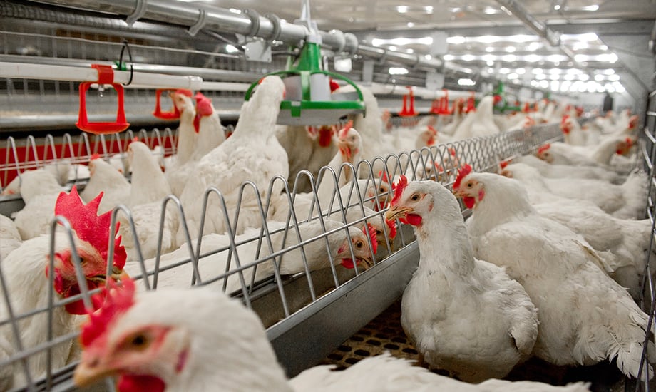 Over ons - Vencomatic Group