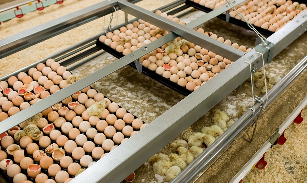 X-Treck - Vencomatic Group