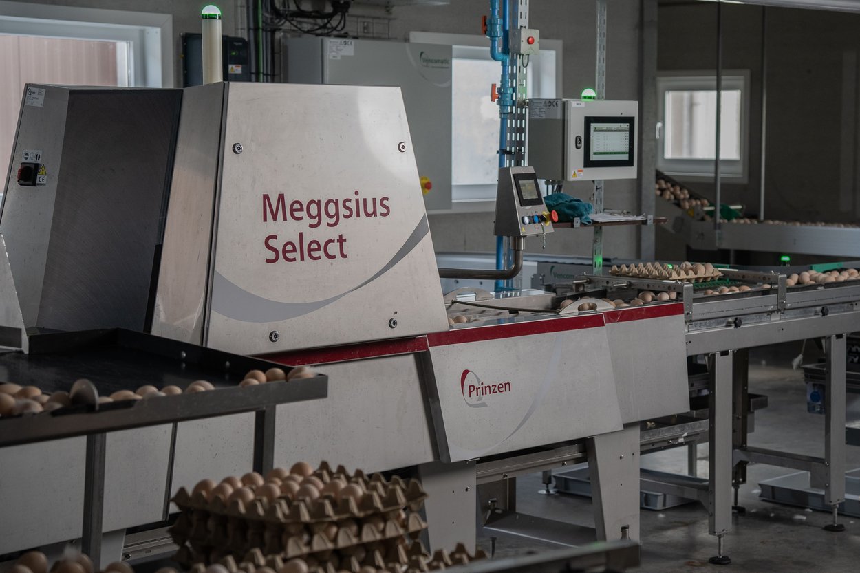 Ambitious young poultry farmer puts maximum effort into modernisation