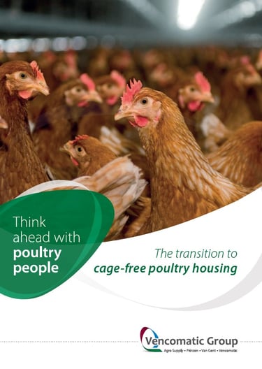 Cage-free: all there is to know