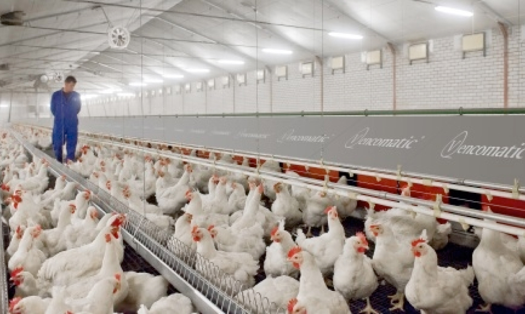 Homepage - Vencomatic Group