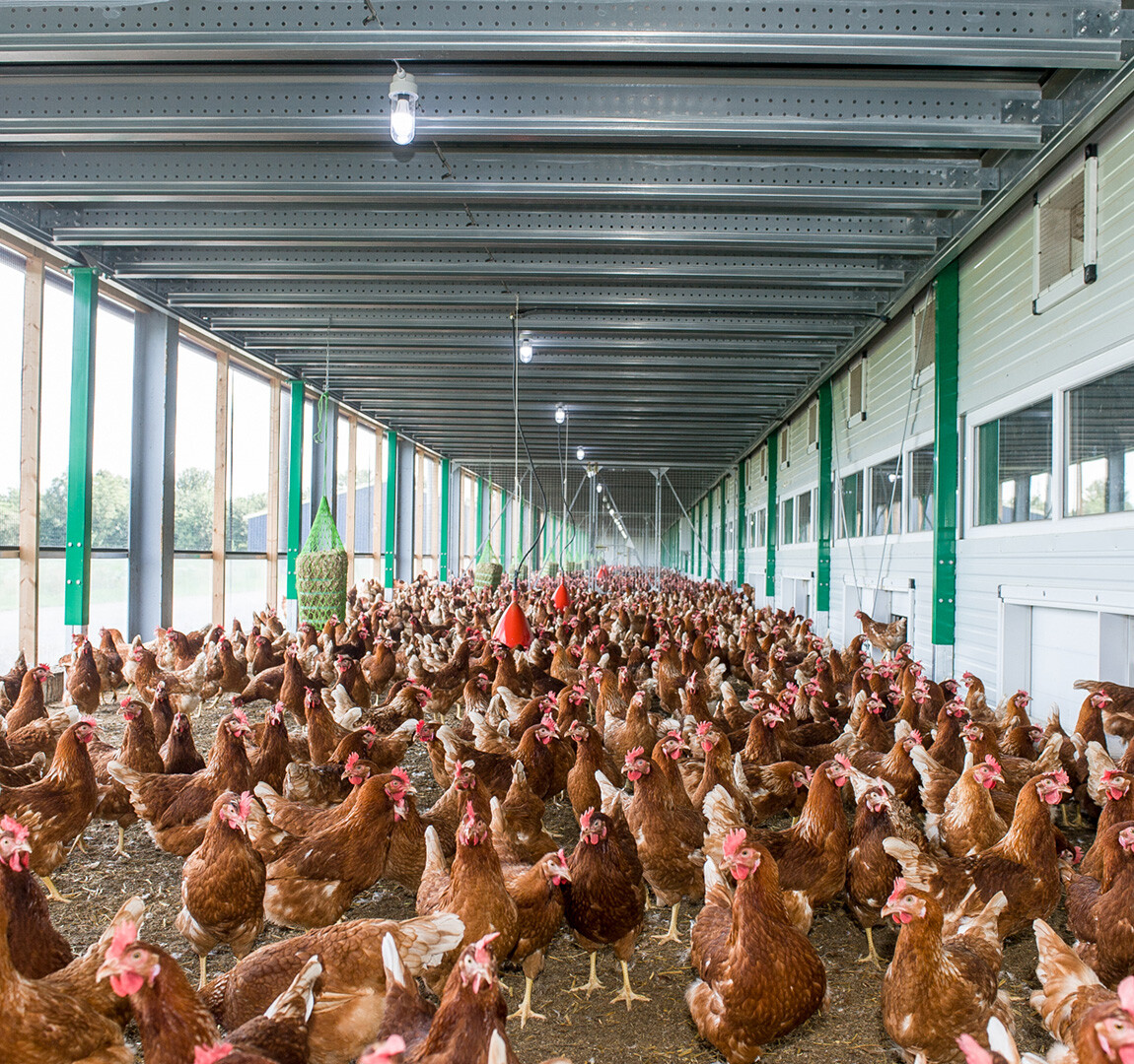 Intermediate floor - Vencomatic Group