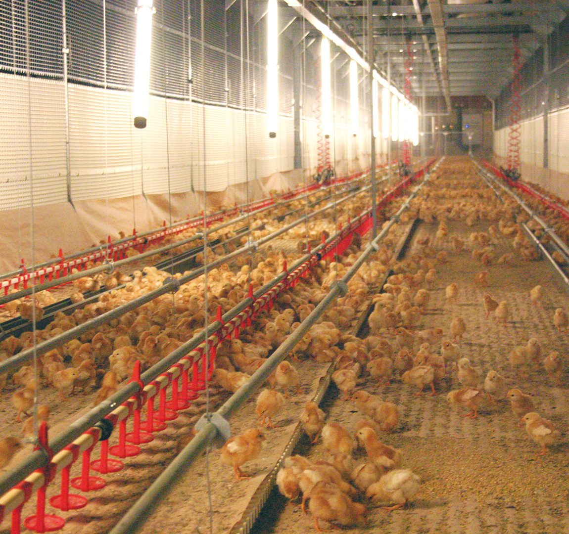 Jump Start - Vencomatic Group