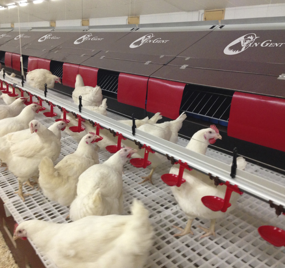 Van Gent Nest - Vencomatic Group