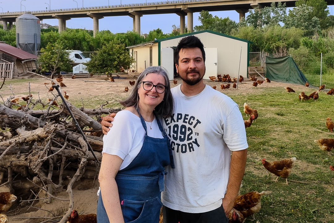 El Galliner de la Torrassa: más de una década con Vencomatic Nest