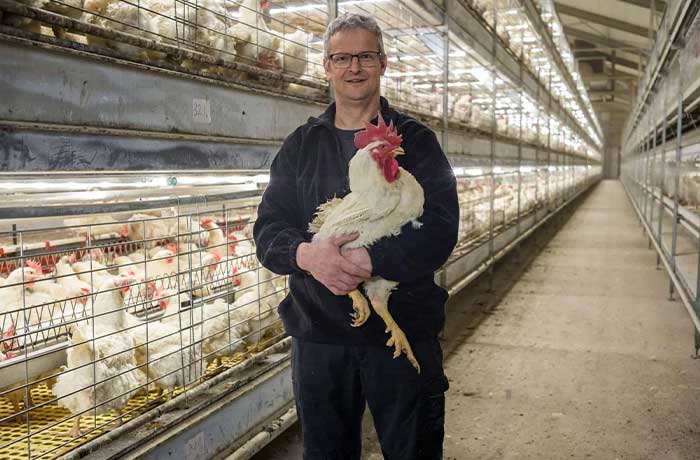 Veranda in practice: Sustainable entrepreneurship