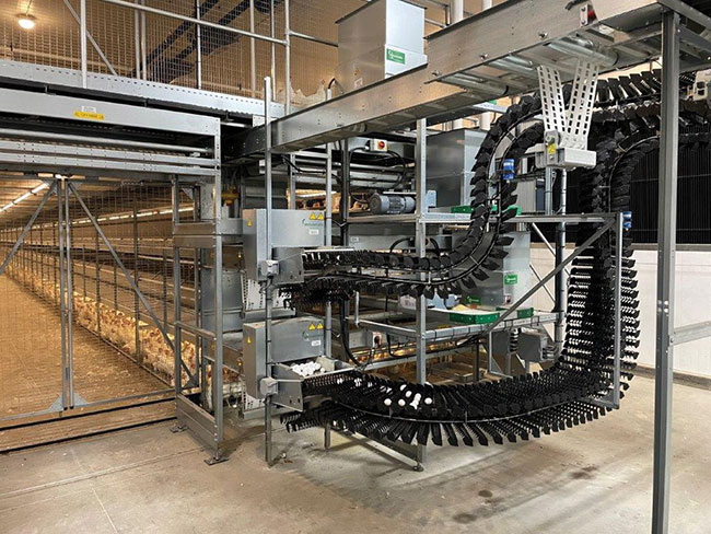 Barn spotlight: Newell Colony