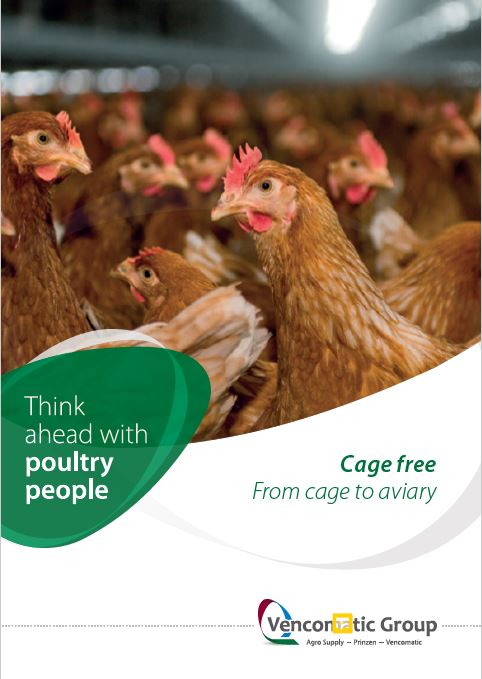 Cage-free: all there is to know